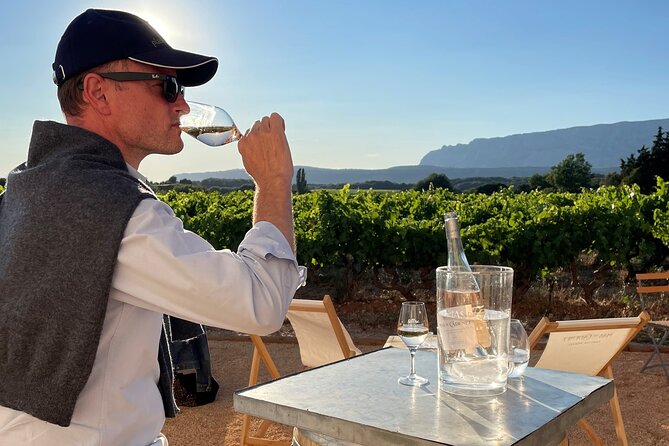 Private Full Day Wine Tour in Provence from Toulon Cruise Port - The Sum Up