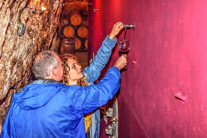 Private Full Day Wine Tour in Rioja - Meeting and Pickup