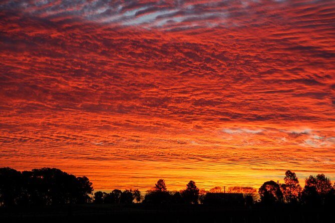 Private full-day wine tour in the Hunter Valley - Key Points