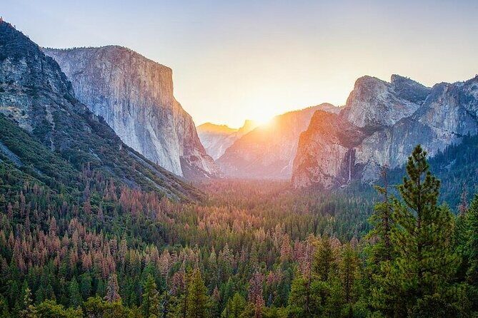 Private Full Day Yosemite National Park Tour from Cupertino - Analyzing the Value
