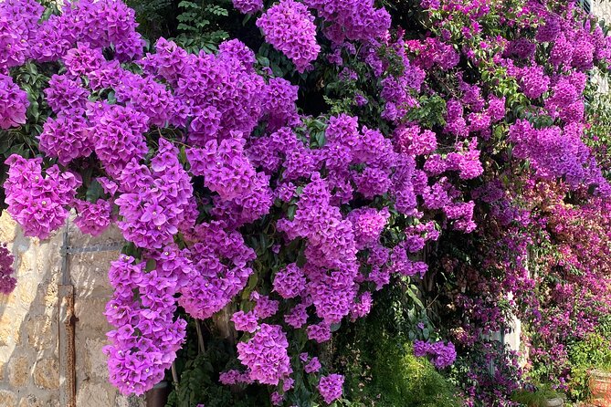 Private Game of Thrones Tour with King's Landing Garden - What’s Included and What’s Not