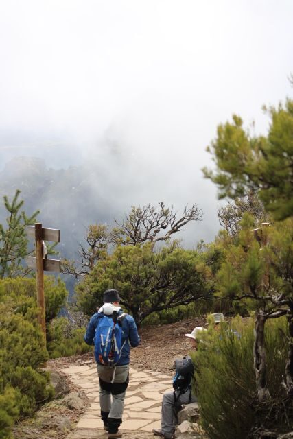 Private - Gastro Hike with Levada Walk and Local Food - Key Points
