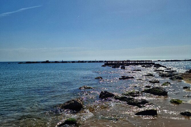 Private Gastronomic Tour in the City of Condal Barcelona - The Experience Provider and Logistics