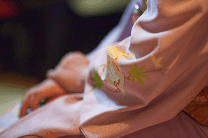 Private Geisha Show With Maiko, an Geisha Apprentice - Living Traditions and Lifestyle of Geisha