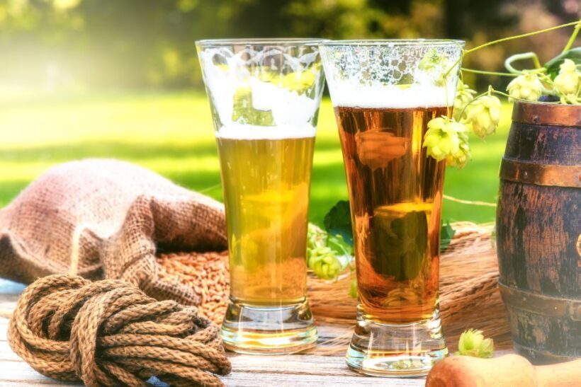 Private German Beer Tasting Tour in Hamburg Old Town - Why This Tour Offers Good Value