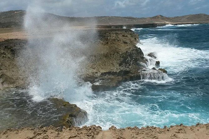 Private German Speaking Jeep Tours - An In-Depth Look at Arubas Private Jeep Tour