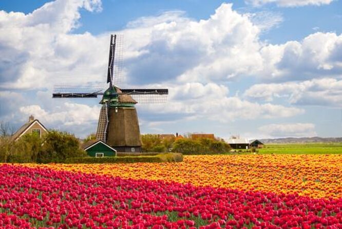Private Giethoorn & Zaanse Schans Windmills Sightseeing Tour from Amsterdam - Key Points