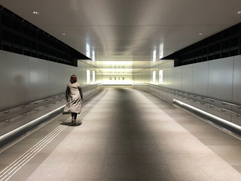 Private Ginza Architecture Tour - Tour Inclusions