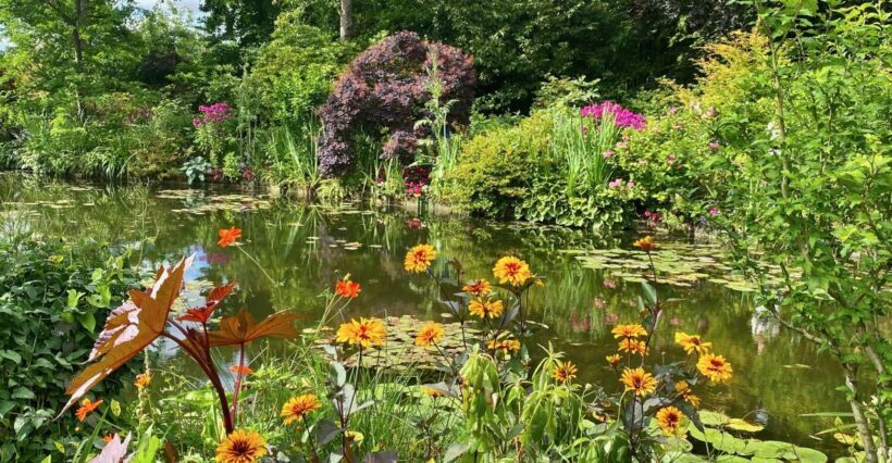 Private Giverny Half-day trip from Paris by Mercedes - Lunch Break and Return to Paris
