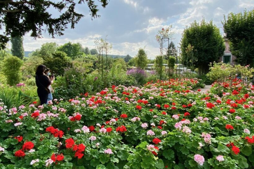 Private Giverny Half-day trip from Paris by Mercedes - What’s Included and What’s Not