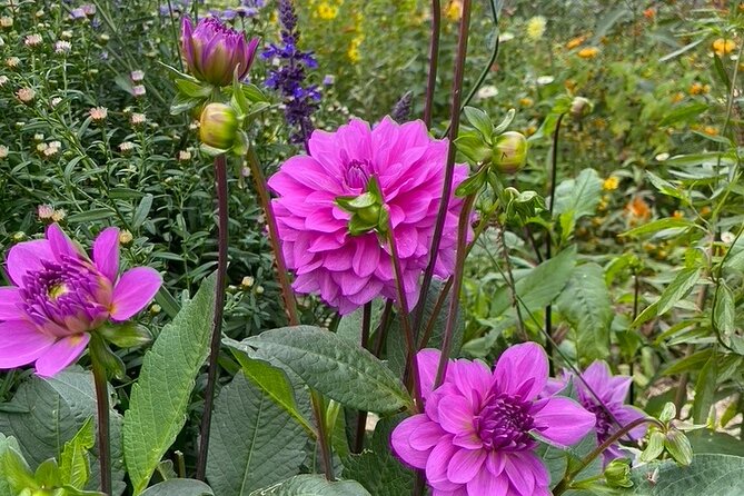 Private Giverny Roundtrip and Entrance Ticket from Paris - Value and Practicality: Is It Worth It?