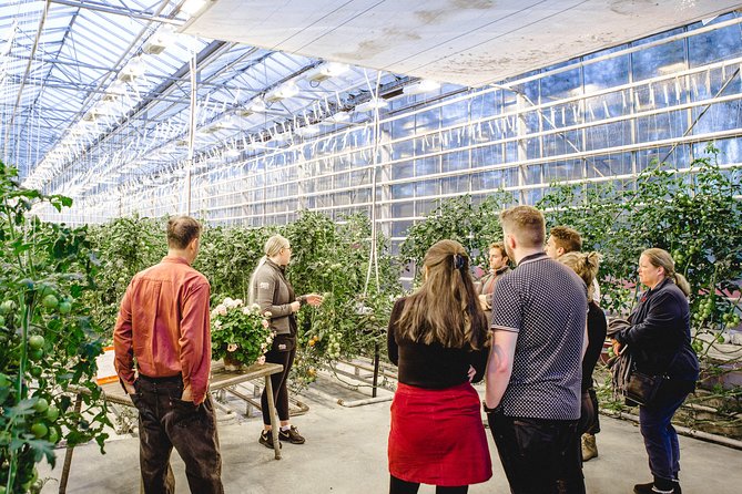 Private Golden Circle, Sky Lagoon and Friðheimar Greenhouse Lunch - Authentic Experiences and Real Traveler Insights