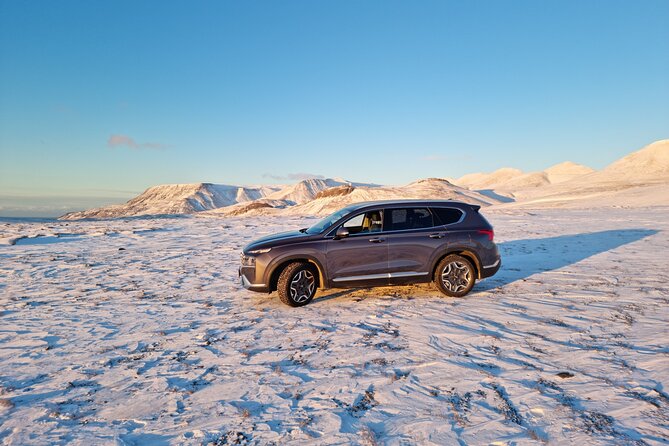 Private Golden Circle Tour - Meals and Inclusions