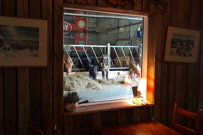 Private Golden Circle Tour From Reykjavik - Sights and Attractions