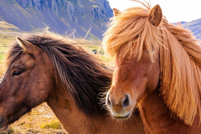 Private Golden Circle Tour in a Premium Class Car. - Pickup and Accessibility