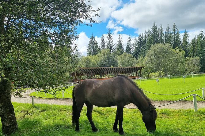 Private Golden Circle with airport transfer (only to Keflavik) - Final Words