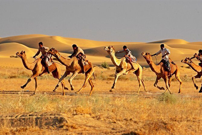 Private Golden Triangle Tour With Ajmer Pushkar - Key Points