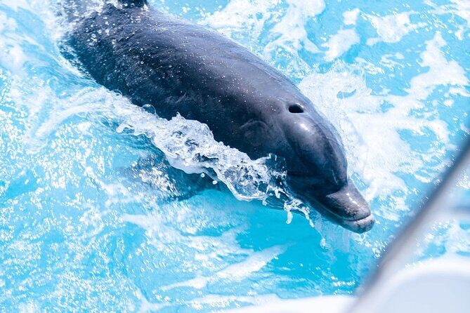 Private Grace Bay Boat Sunset Tour with Pickup - The Experience on Board