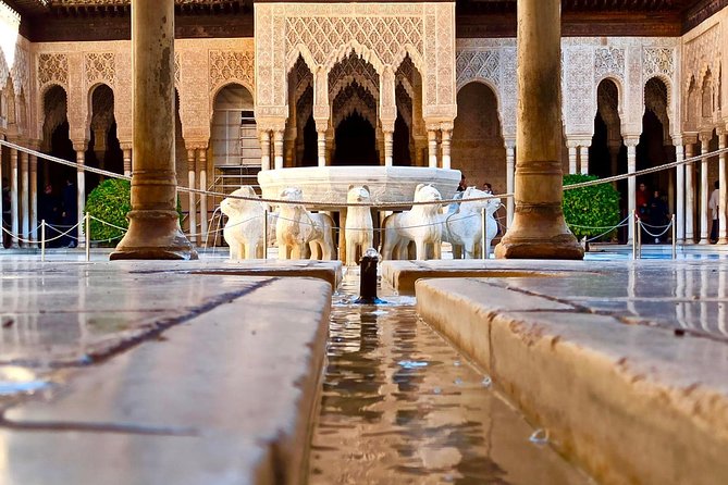 Private Granada Day Trip including Alhambra and Generalife from Seville - Who Will Love This Tour?