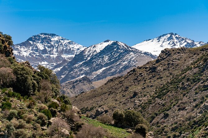 Private Granada Tour in Sierra Nevadas Summits - Final Thoughts: Who Should Book This Tour?