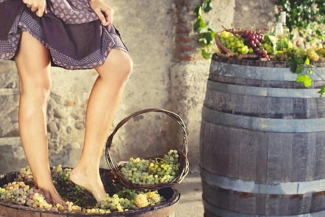 Private Grape stomping in Chianti from Florence - Why Choose This Tour?