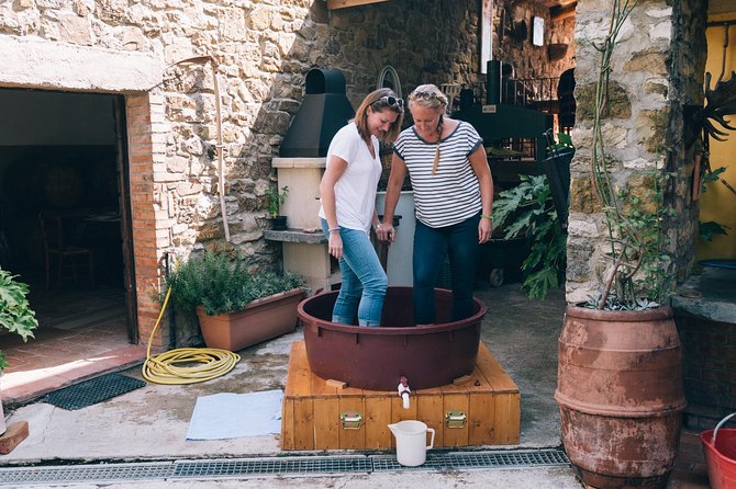 Private Grape stomping in Chianti from Siena - Introduction: A Unique Tuscan Adventure for Wine and Culture Enthusiasts