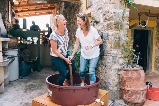 Private Grape stomping in Chianti from Siena - The Value of This Experience