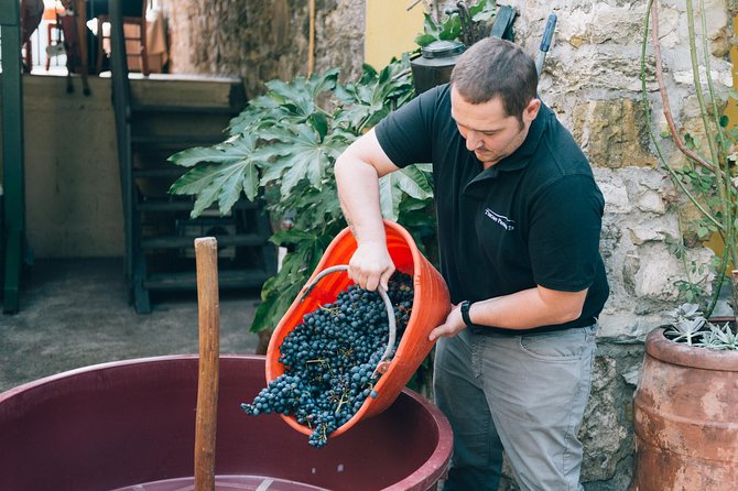 Private Grape stomping in Chianti from Siena - FAQ