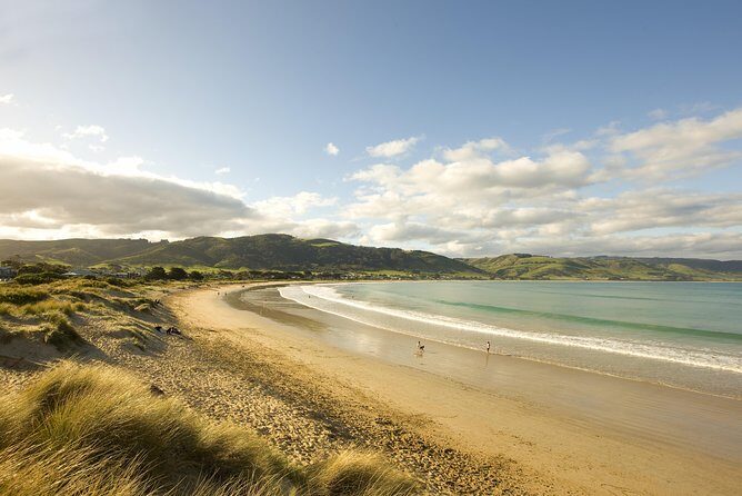Private Great Ocean Road and Twelve Apostles Tour from Melbourne - Who Should Consider This Tour?