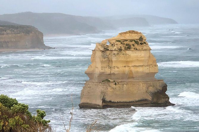 Private Great Ocean Road Local Experience - What We Learned from Reviews