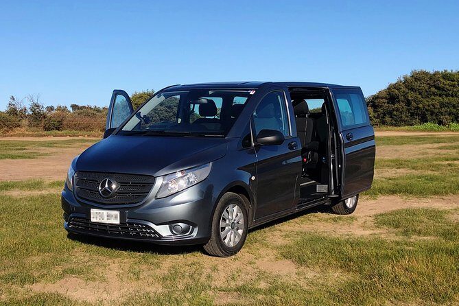 Private Great Ocean Road Local Experience - Who Should Consider This Tour?