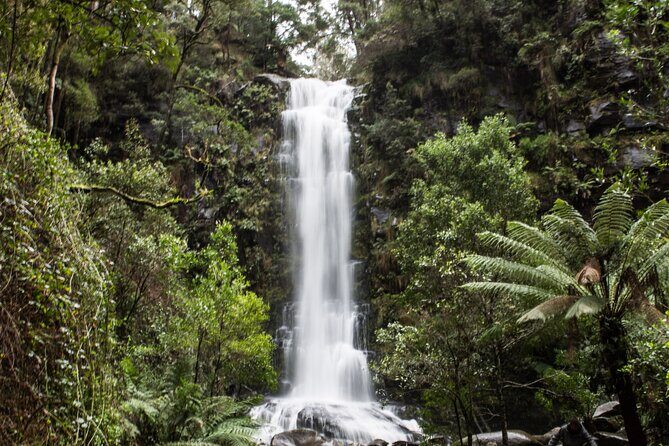 Private Great Ocean Road - The Ultimate Aussie Adventure - Why This Tour Offers Real Value