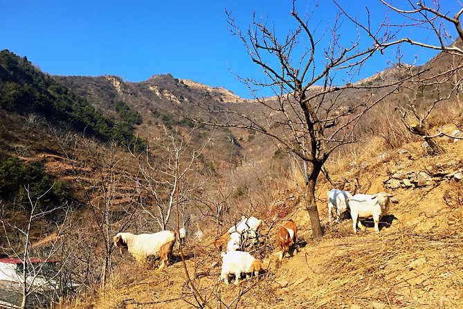 Private Great Wall Hiking Tour: Across The Border of 3 China Provinces - The Sum Up