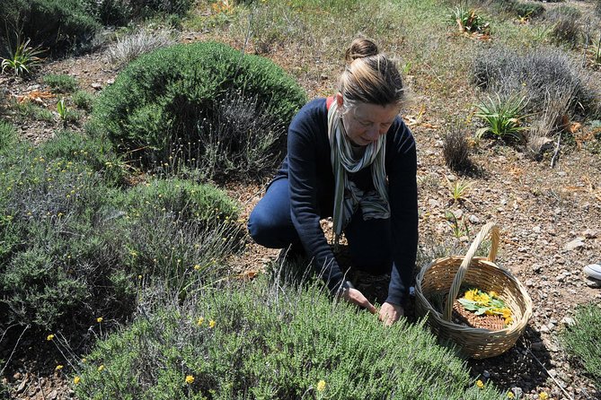 Private Greek Cooking Class and Foraging Experience in Syros - Inclusions and Pricing