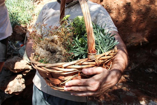 Private Greek Cooking Class and Foraging Experience in Syros - Frequently Asked Questions