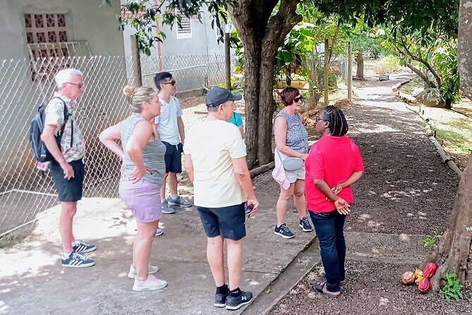 Private Grenada Spice Tour: Explore Lauras Herb & Spice Garden - Authenticity and Guest Feedback