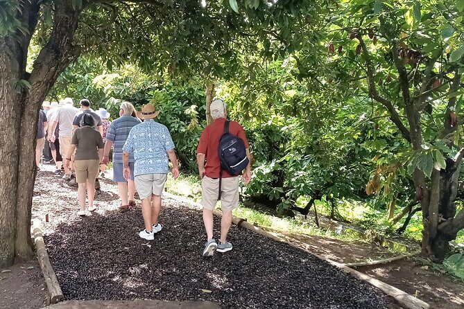 Private Grenada Spice Tour: Explore Lauras Herb & Spice Garden - Why This Tour Is Worth Considering