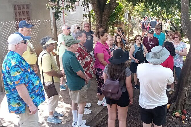 Private Grenada Spice Tour: Explore Lauras Herb & Spice Garden - Who Should Book This Tour?