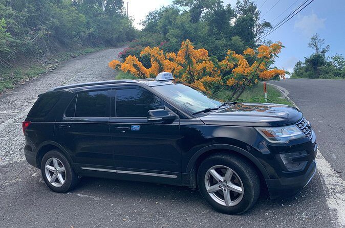 Private Ground Transfers - The Itinerary: A Straightforward, Scenic Journey