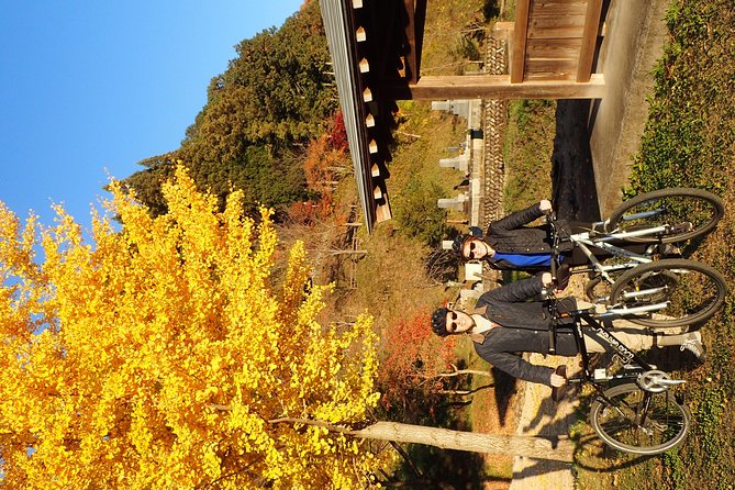 Private-group Morning Cycling Tour in Hida-Furukawa - Tour Inclusions and Exclusions