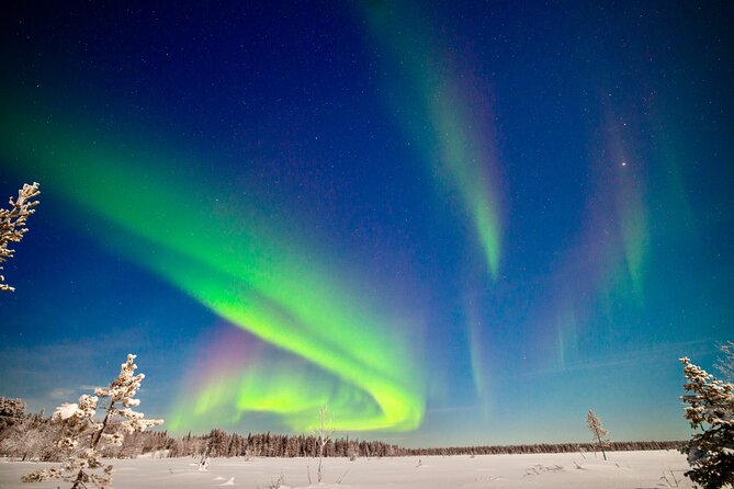 Private Group: Northern Lights Hunt 4x4 SUV with Aurora guarantee - An Honest Look at the Private Northern Lights Hunt in Levi, Finland
