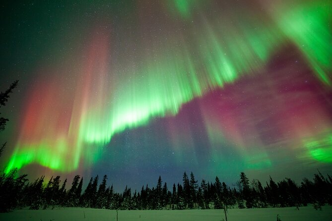 Private Group: Northern Lights Hunt 4x4 SUV with Aurora guarantee - Final Thoughts