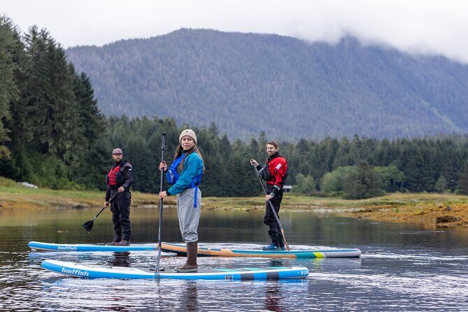 Private Group Paddle board tour in Juneau with Glacier views - The Sum Up