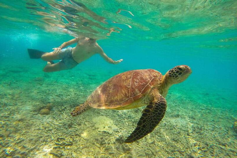 Private Group Snorkeling 3 Gili Islands from Gili Trawangan - The Sum Up: Why It’s a Solid Choice for Your Gili Adventure