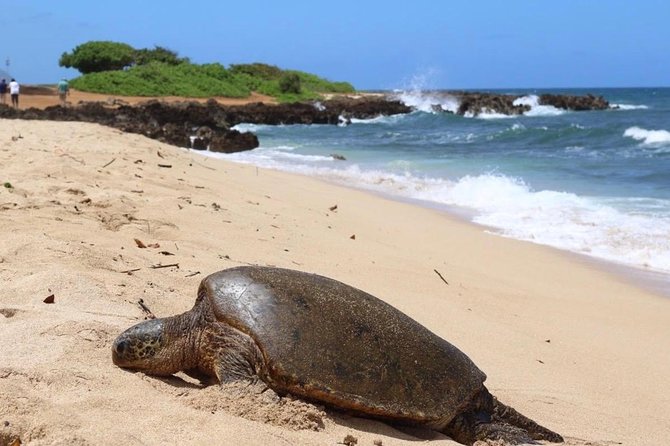 Private Group Surf Lesson - Frequently Asked Questions