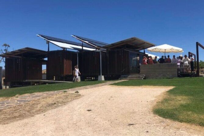 Private Group Wine Tasting in McLaren Vale - Reviews and Authentic Feedback
