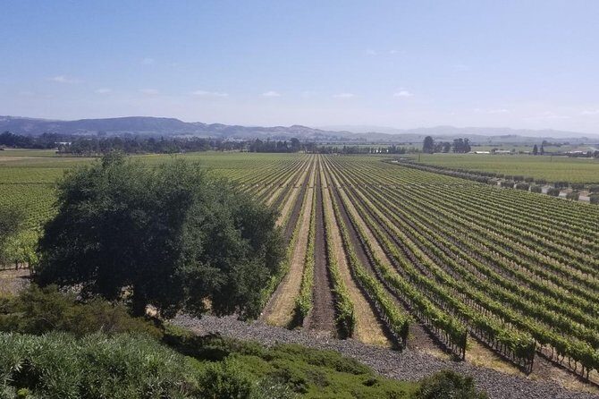 Private Group Wine Tour of Napa and Sonoma - The Itinerary in Depth