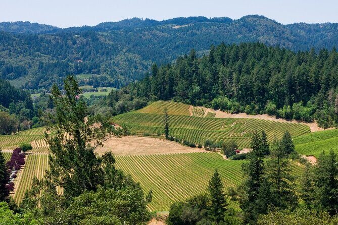 Private Group Wine Tours in Napa Valley - Possible Drawbacks or Considerations