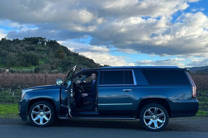 Private Group Wine Tours in Napa Valley - Who Is This Tour Best For?