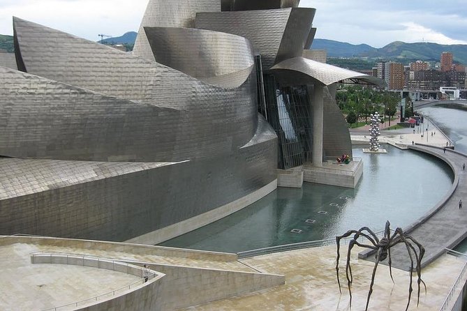 Private Guggenheim Museum Bilbao Tour With Official Guide - Accessibility and Transportation